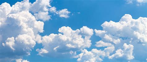 ҮҮЛЭН ТЕХНОЛОГИ ГЭЖ ЮУ ВЭ