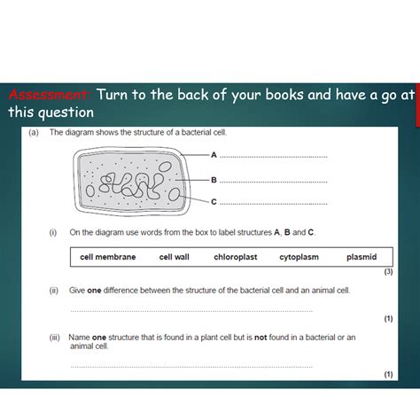 B Eukaryotic And Prokaryotic Cells Teaching Resources