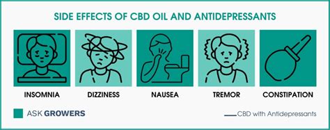 Can You Take CBD Oil With Antidepressants Lets Talk With AskGrowers Experts AskGrowers