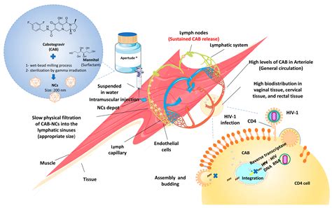 Pharmaceutics Free Full Text Approved Nanomedicine Against Diseases