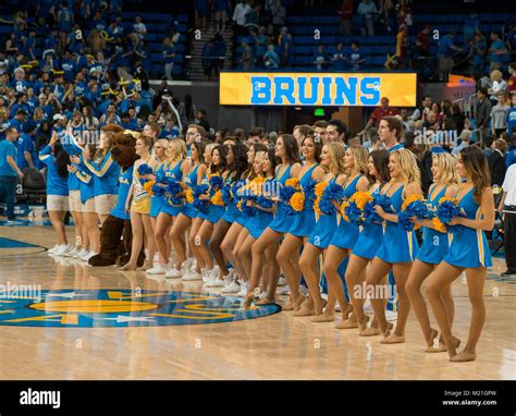 Los Angeles Ca Usa 03rd Feb 2018 The Ucla Dance Team Gets Ready To