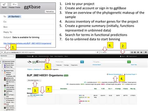 ggkbase binning slide01 ggkbase knowledge base