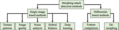Figure 1 From Face Morphing Attack Detection And Localization Based On Feature Wise Supervision