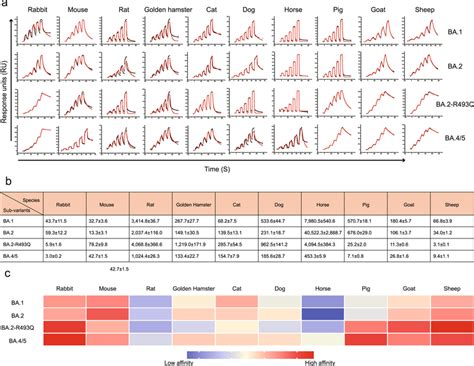 The Binding Affinities Between Ace2 Orthologs And Ba1 Ba2 A Ba2
