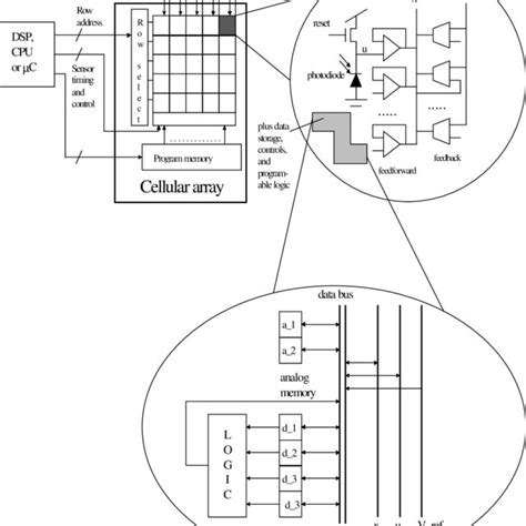 Layout Of The Vlsi Adapted Cellular Neural Network Models Implemented