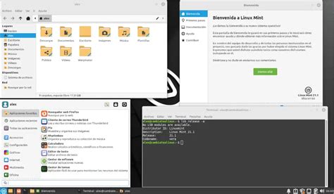 Linux Mint Vera
