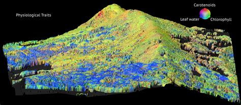 Mapping Functional Diversity Of Forests With Remote Sensing The Watchers
