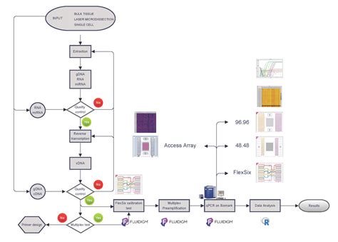 Microfluidic Qpcr High Throughput Qpcr Core Facility Of The Ens