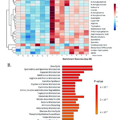 Clustering And Enrichment Of Targeted Metabolites A Hierarchical