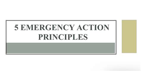 5 Emergency Action Safety Principles Presentation Construction Files