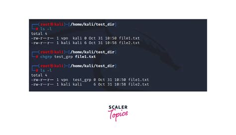 How To Manage Permissions And Privileges In Linux Scaler Topics