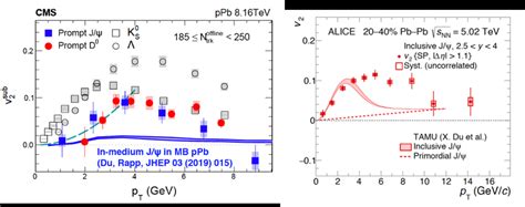 The Measured 2 Of Mesons In High Multiplicity Pb Collisions [11