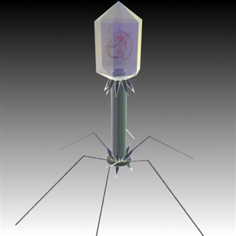 20 Micro Objects Set 3d Model