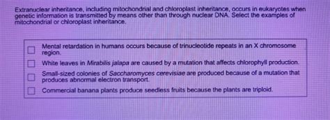 Solved Extranuclear Inheritance Including Mitochondrial And