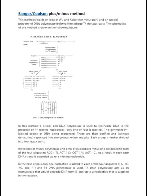 Sanger Sequencing Pdf