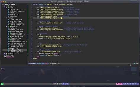 My Nvim Setup Any Criticism Is Welcome Rneovim