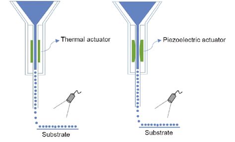 3d Bioprinting Process Types And Applications My Biology Dictionary