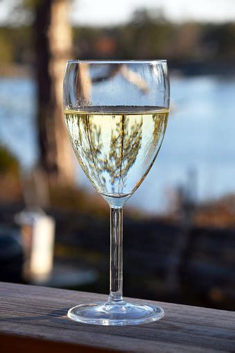 배경에 바다의 아름 다운 전망과 외부 테이블에 화이트 와인의 유리 호수에 대한 스톡 사진 및 기타 이미지 호수 화이트 와인 0명 Istock