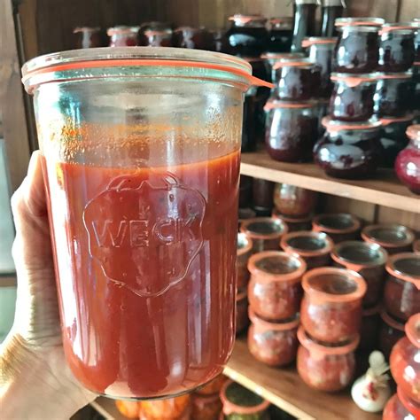 Basil And Garlic Tomato Sauce Recipe For Canning One Hundred Dollars