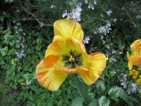 Alignment Minimal Path Derived From The Riemannian Metric R Align A