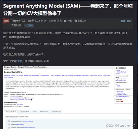 Segment Anything Model Sam——分割一切，具有预测提示输入的图像分割实践 Csdn博客
