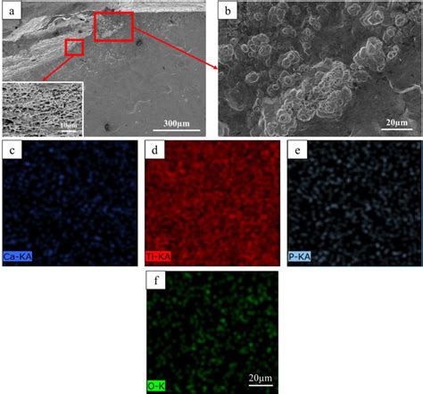 The Cross Sectional Se A And Bse B Sem Micrographs Of The Fsped Ti Download Scientific