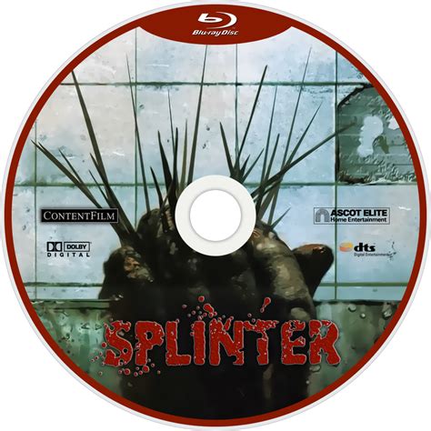 Splinter 2008