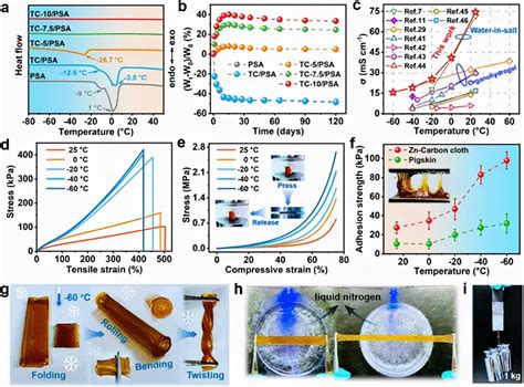 Low Temperature Adaptationflexible Zinc Ion Hybrid Capacitor
