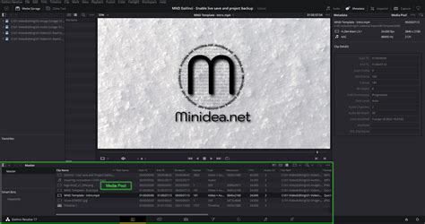Filedavinci Resolve Media Media Poolpng Minidea Wiki