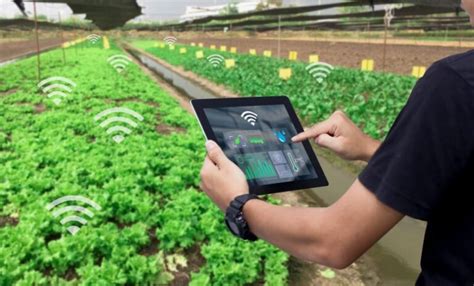 How IoT Enables Real Time Data Collection And Analysis