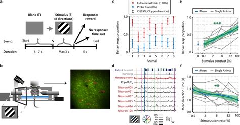 mouse v1 population correlates of visual detection rely on
