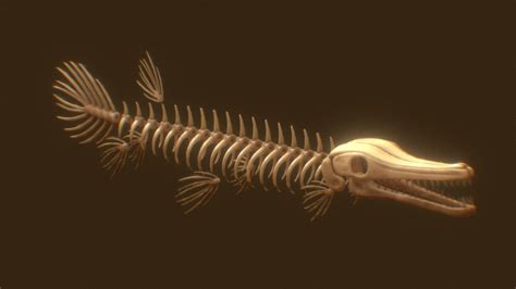 Pejelagarto Lepisosteiformes Buy Royalty Free 3d Model By Leo