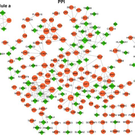 Ppi Network And Subnetwork Module Of The Degs The Orange Roundness Download Scientific Diagram