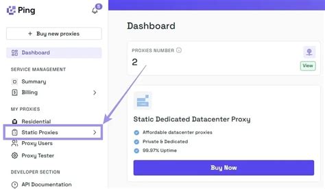 Undetectable Browser Proxy Setup Guide 2025 Ping