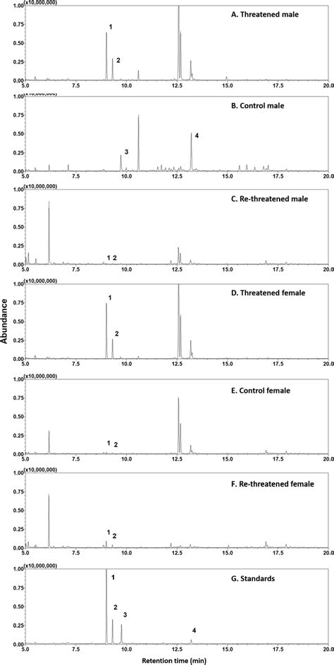 Representative Gc Chromatograms Of Headspace Volatiles From Aromia