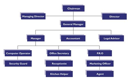 Organization Chart Employment Service Creation Pvt Ltd