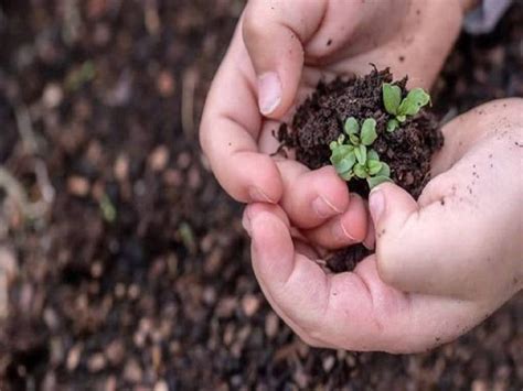 কৃষিক্ষেত্ৰত কাৰ্যকৰী অণুজীৱ Effective Microorganisms ৰ ভূমিকা