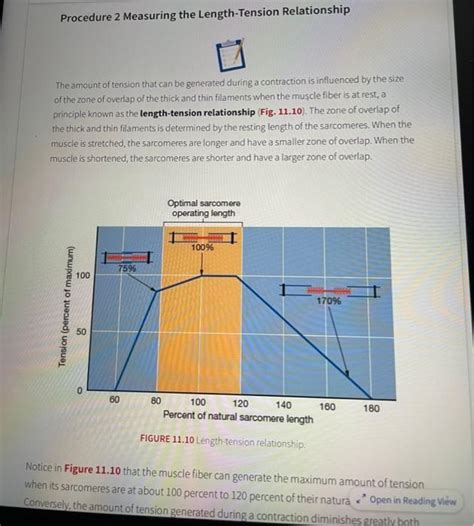 Procedure 2 Measuring The Length Tension Relationship Chegg Com