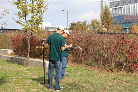 나무병원 ㅇㅇ시 근린공원 조경수 생육불량 고사여부 진단 세이브트리 수목 진단 사례