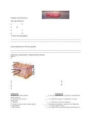 Chapter 6 Lab Exercise Docx Chapter 6 Lab Exercise Pre Lab Questions 1 2 5 6 3 7 4 8