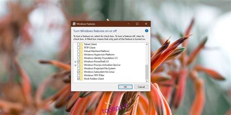 Comment Exécuter Un Script Shell Sur Windows 10 Toptipsfr