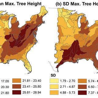 Section Level Means A And SD B For Maximum Tree Height I E An Download Scientific Diagram