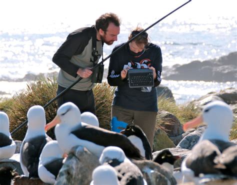 Seabird Monitoring Falklands Conservation