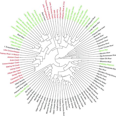 Bray Curtis Dissimilarity Of The Macroinvertebrate Communities For