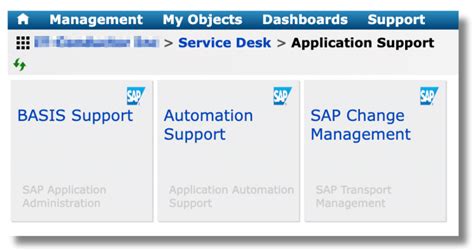 It Conductor Chai™ For Sap Transport Management