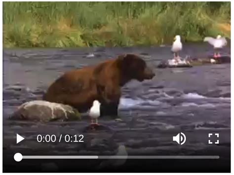 Support Html5 Video Attribute Disablepictureinpicture · Issue 15333