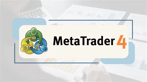 Forex Trading For Beginners A Complete Guide From Scratch