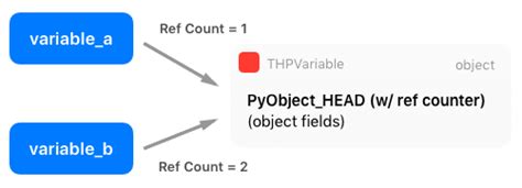 Pytorch Variable Terra Incognita