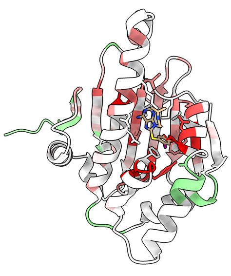 Chimerax Structure Visualization Chimerax Structure Visualization