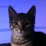 Лучшие SSH-клиенты для Windows, Linux и macOS – База знаний Timeweb Community